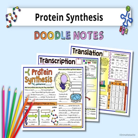 08 Protein Synthesis Doodle Notes - Answer Key.pptx