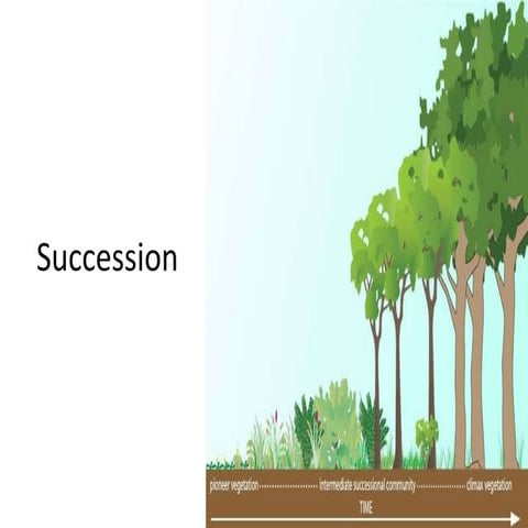 08 succession | PPTX