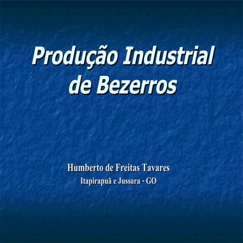Apresentação Cati Leite | PPT
