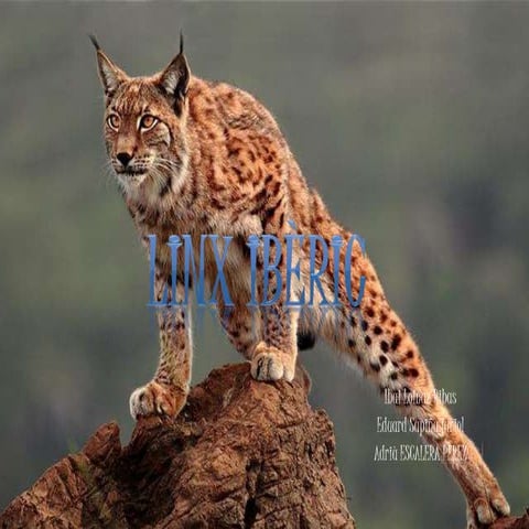 09.linx iberic | PPTX