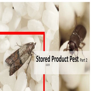 09.D) Stored Product Pest dan Perkembangan Terbaru.pptx.pdf