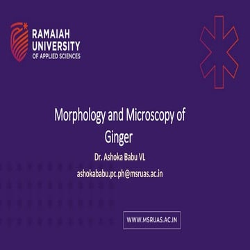 09.Morphology and microscopy of Ginger.ppt