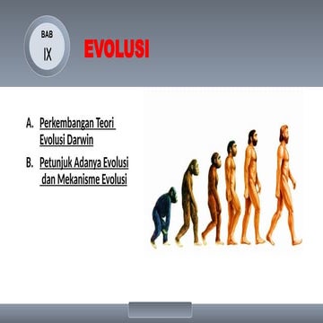 PPT Biologi Materi Evolusi kelas XII SMA | PPTX