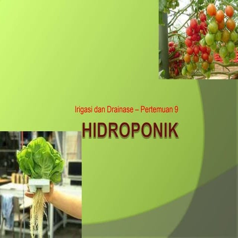09-hidroponik-140917181448-phpapp01.pptx