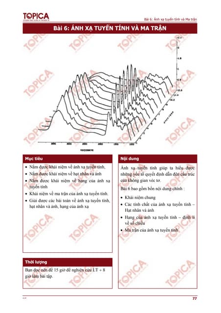 giai de cuong chuong 3 dai so tuyen tinh | PDF