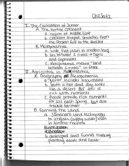Chapter 1 Notes: Early Humans | PDF