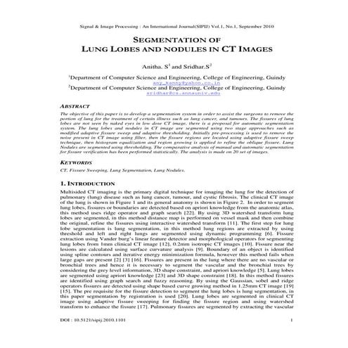 Segmentation of Lung Lobes and Nodules in CT Images | PDF