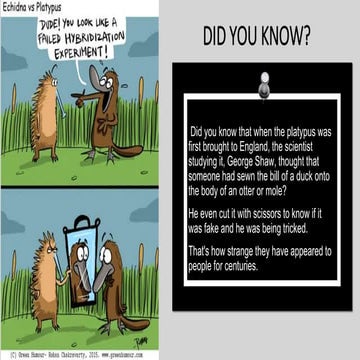 Monotreme alchemy : mystical milk and lethal elixir | PPTX