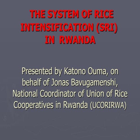 THE SYSTEM OF RICE INTENSIFICATION (SRI) IN RWANDA | PPT
