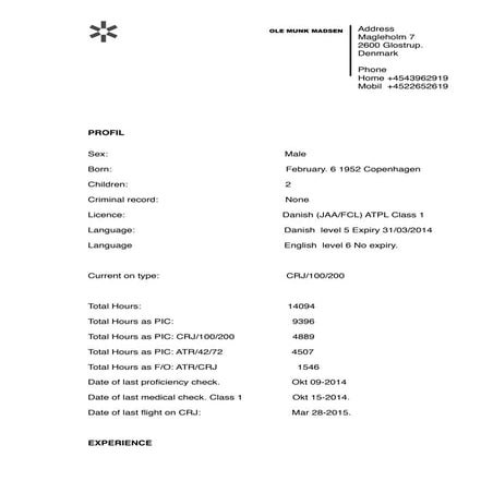 CV Engelsk Ny | PDF