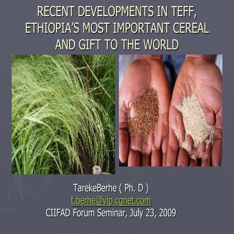 0940 Recent Developments in Teff, Ethiopia's Most Important Cereal and ...