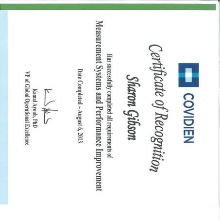 Measurement Sys and Performance Imp | PDF