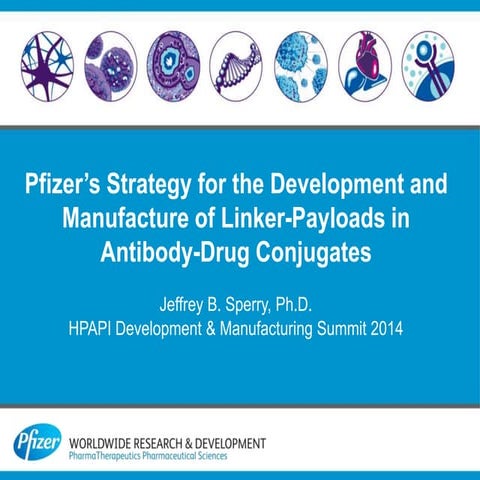 Pfizer's Strategy for the Development and Manufacture of Linker ...
