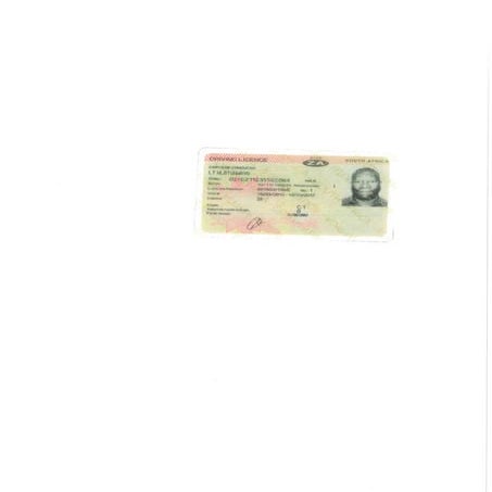 Driver's Licence | PDF