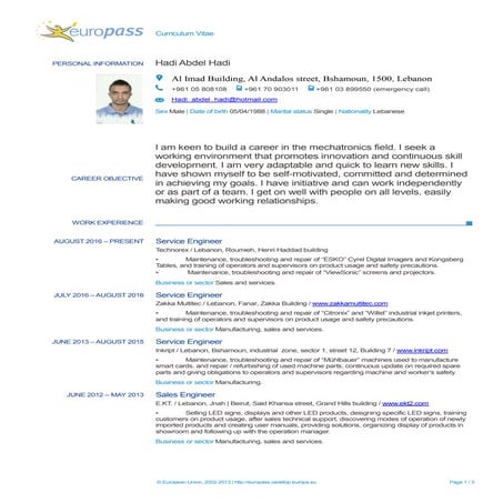 CV - Hadi Abdel Hadi | PDF