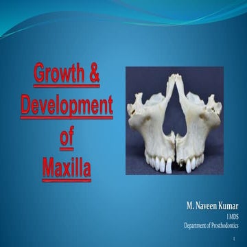 GROWTH AND DEVELOPMENT OF MAXILA 16.pptx