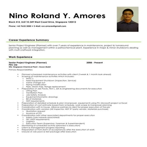 Resume (pdf file) | PDF