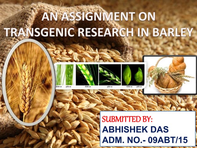 Production technologyof barley | PPT