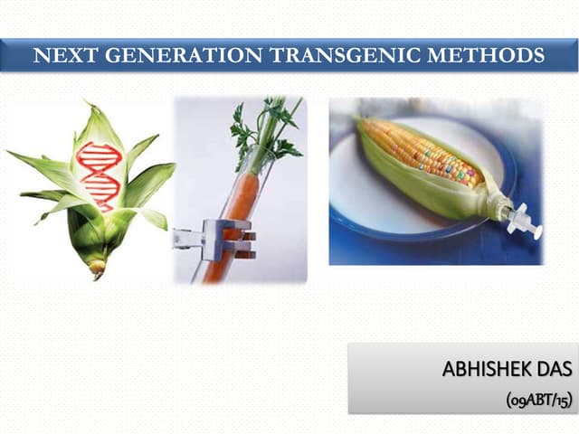 Plant transformaation technology, all techniques | PPTX