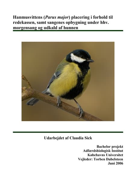 Bachelorprojekt | PPT