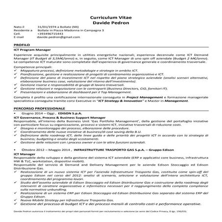 Davide Pedron CV | PDF