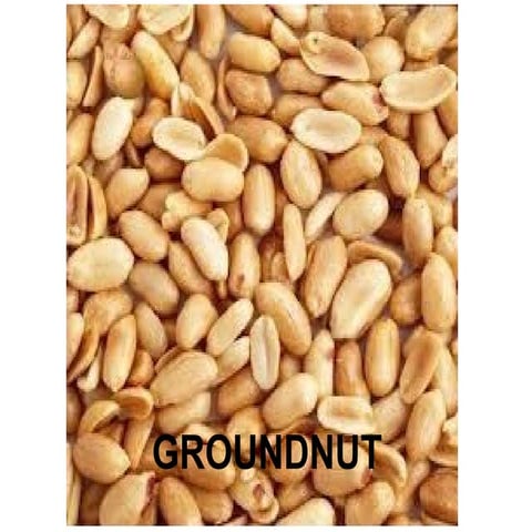 Groundnut | PPTX