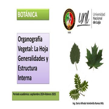 La hoja: Definición, partes y tipos | PPTX