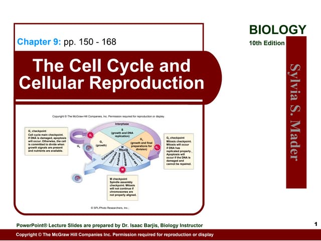 Present Perfect | PPT