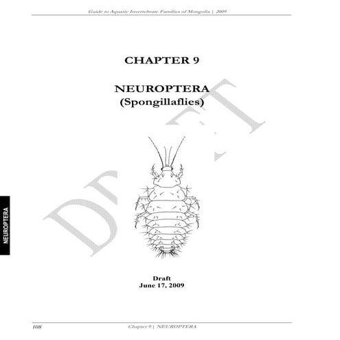 09Neuroptera order neuroptera Family description | PDF
