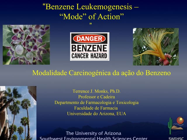Isoprene metabolism | PDF | Endocrine and Metabolic Diseases | Diseases ...