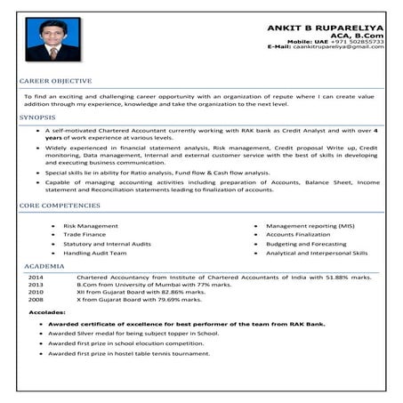 CV - CA Ankit B Rupareliya | PDF