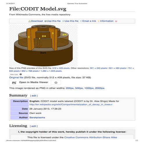 Annotate Your Screenshot | PDF