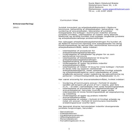 Curriculum Vitae | DOC