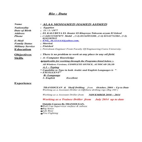 Mahmoud Fayed - Civil Engineer - Egypt (2) | PDF