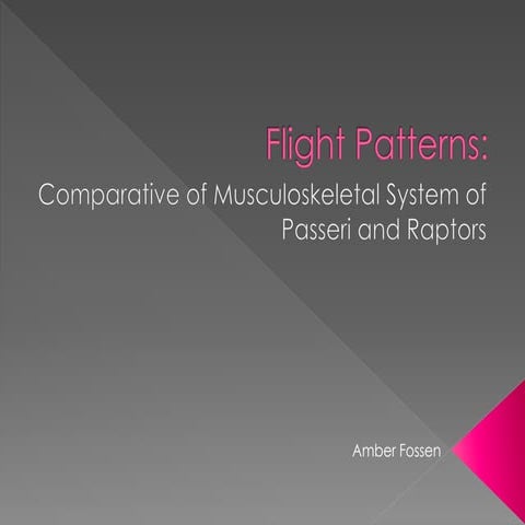 Flight Patterns | PPT