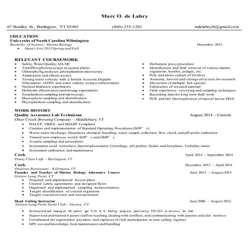 Marc O de Labry Resume | DOCX