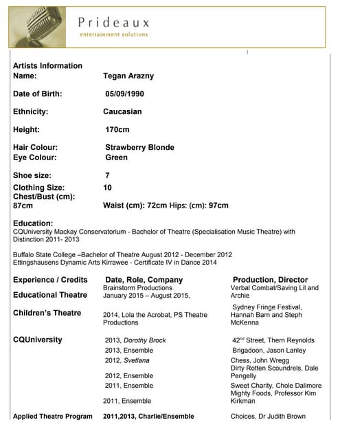 Dan Borenstein CV | PDF