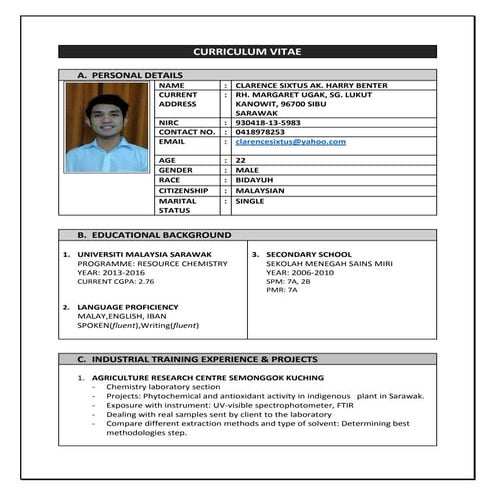 CURRICULUM VITAE | PDF | Chemistry | Science