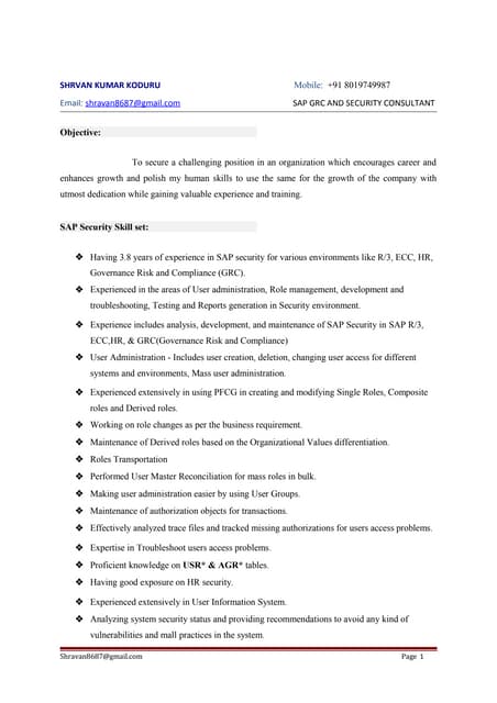 Sap Mm Authorization Matrix And User Roles Pdf