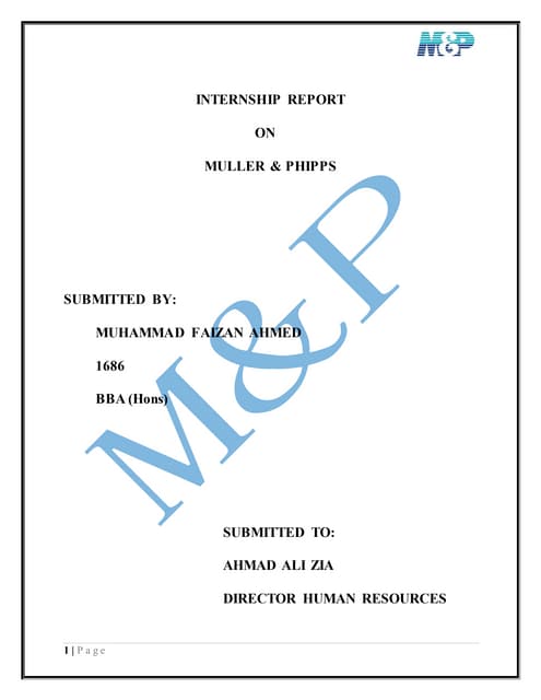 Muhammad Faizan Ahmed Pdf