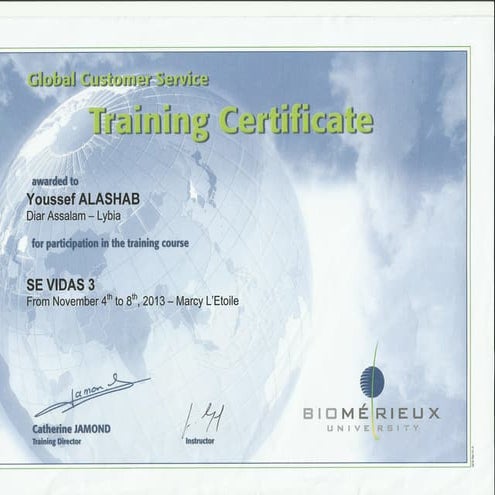 VIDAS 3 TRAINING | PDF