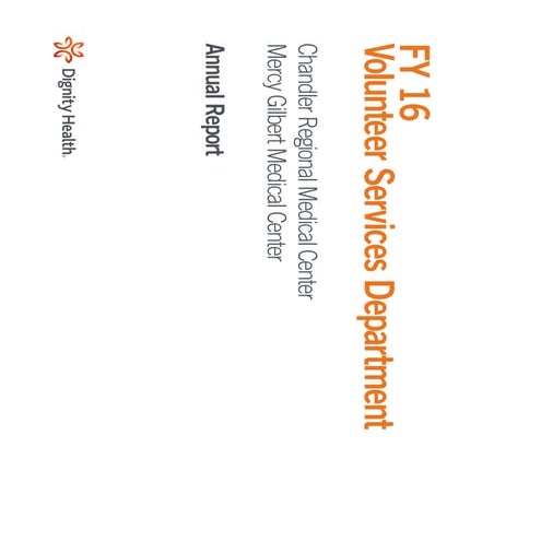 Volunteer Services FY16 Annual Report | PDF