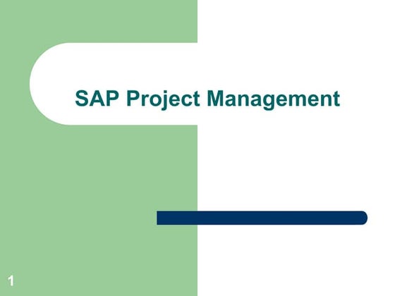 Sap Implementation Presentation | PPT