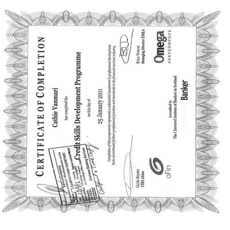 C VANMARI CV 2017_01 | PDF