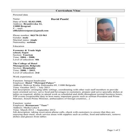 CV David Pantic | DOC
