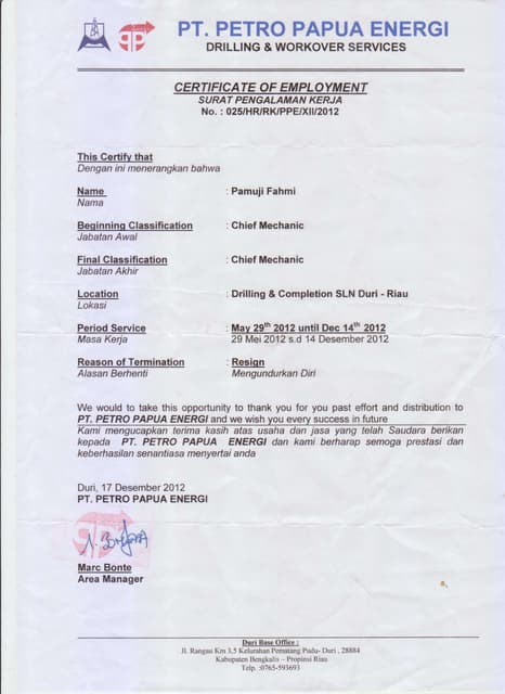 Experience Cert 4 | PDF