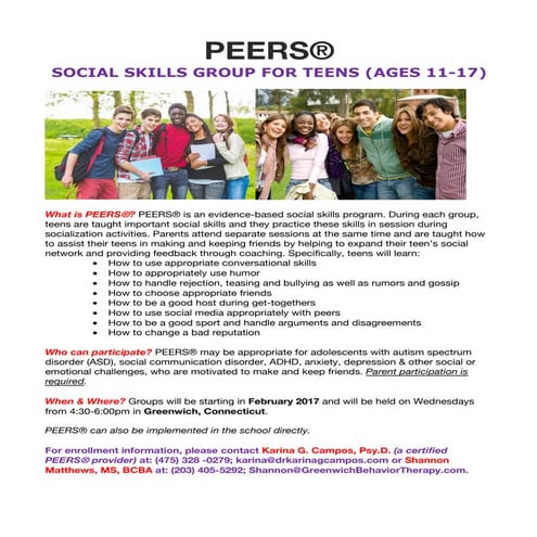 PDF. K & S PEERS flyer. Feb. 2017 | PDF
