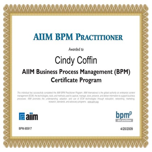 BPM Practitioner Certification | PDF