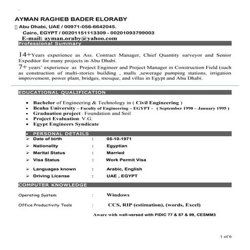 NOEL DAVID CV NEW | DOC