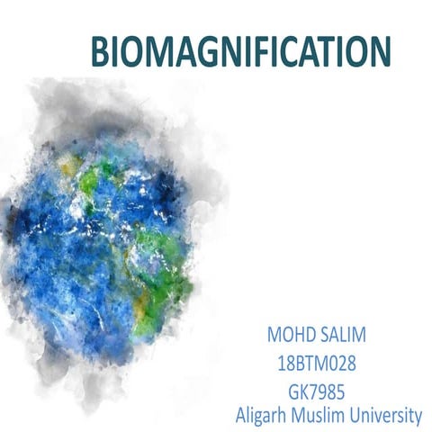 Biomagnification | PPTX